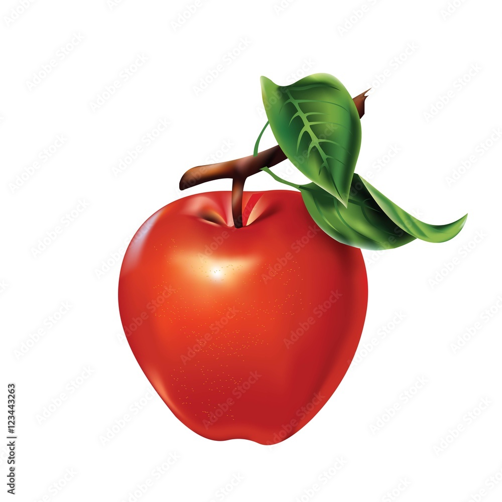 Vector realistic Apple Stock Vector | Adobe Stock