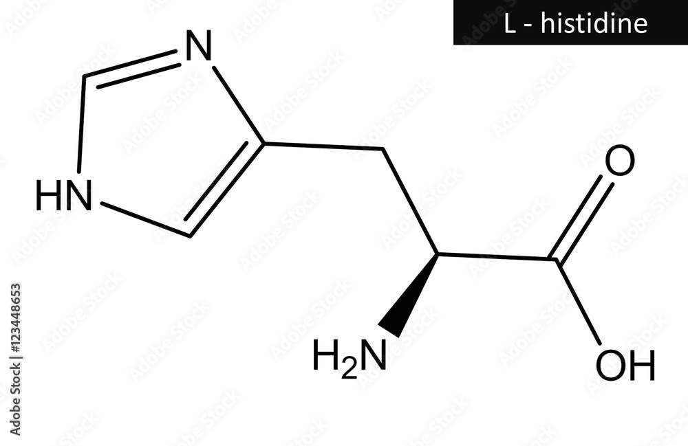 Molecular structure of L-histidine Stock Illustration | Adobe Stock