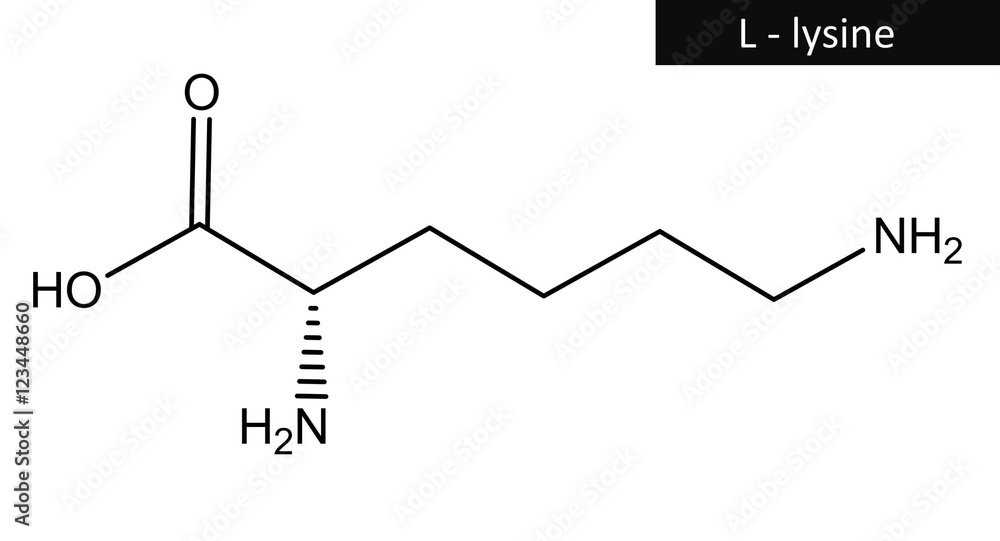 Molecular structure of L-lysine Stock Illustration | Adobe Stock