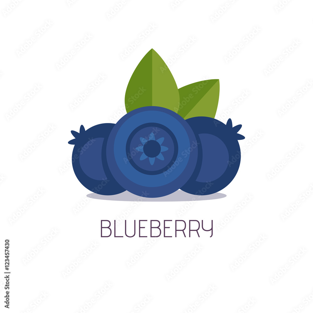 Blueberry on white background. Flat style, vector illustration. Stock ...