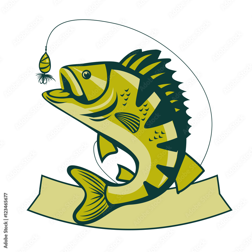 Catching Bass Fish. Vector Fish Color. Graphic Fish. Fish On A White ...