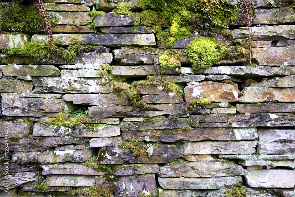 Mossy Rock Wall Stock Photo | Adobe Stock