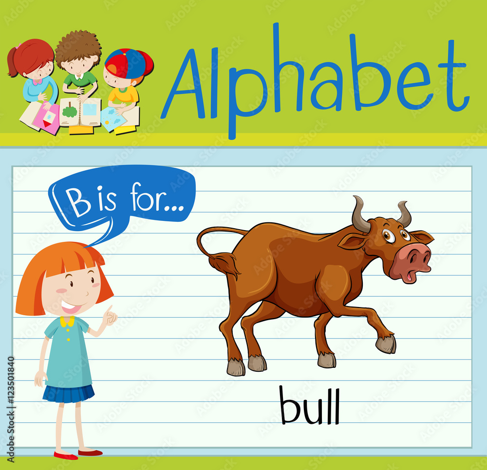 Flashcard letter B is for bull Stock Vector | Adobe Stock