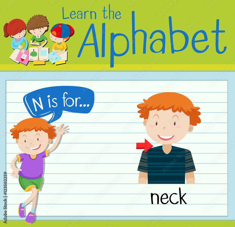 Flashcard letter N is for neck Stock Vector | Adobe Stock
