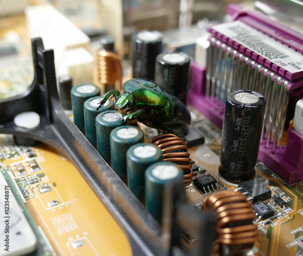 Computer Bug Stock Photo | Adobe Stock