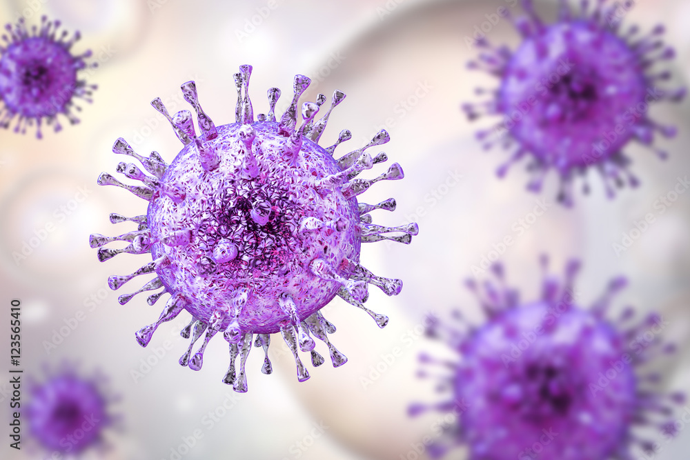 Cytomegalovirus CMV, a DNA virus from Herpesviridae family on a ...