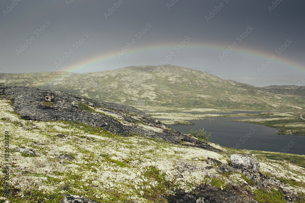 Dramatic landscape with beautiful rainbow over arctic meadows, mountain ...