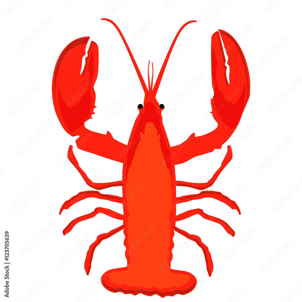 Lobster vector icon Stock Vector | Adobe Stock