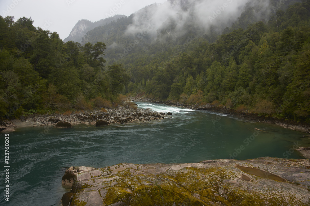 River Futaleufu flowing through mist shrouded forests in the Aysen ...