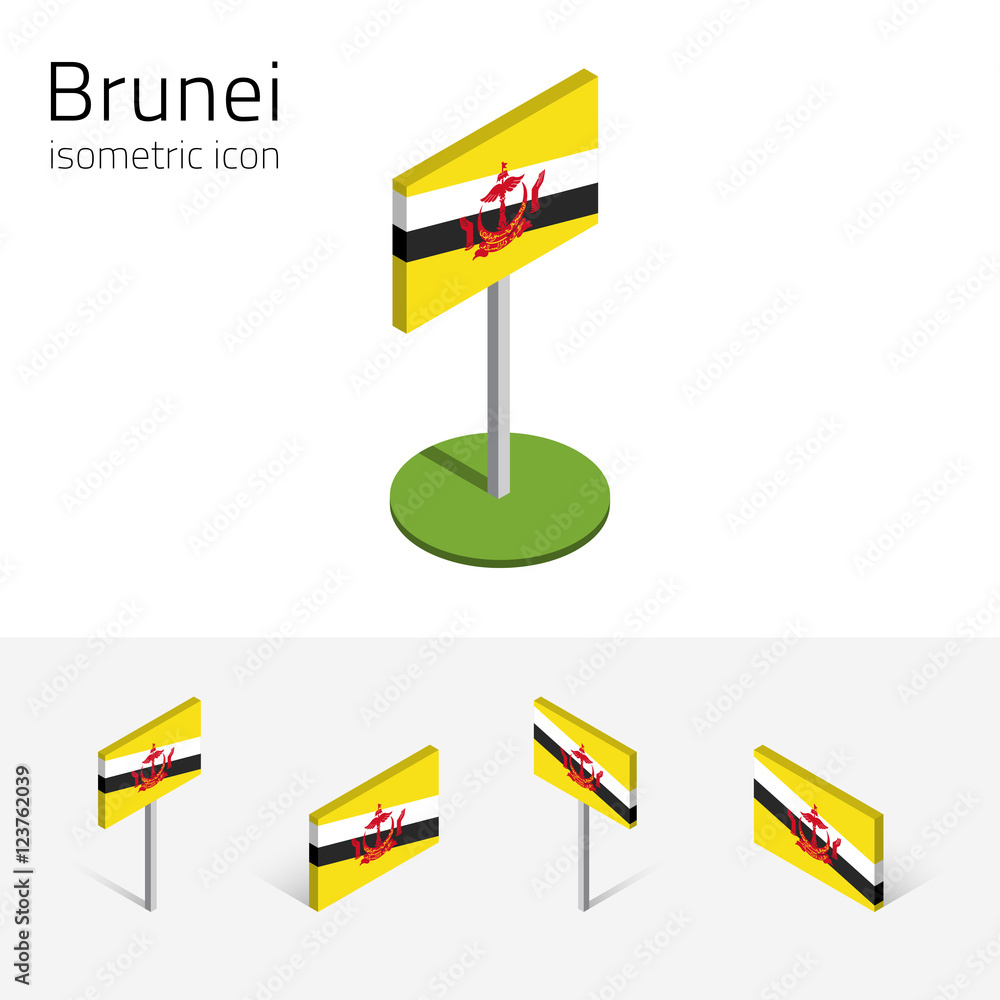 Bruneian flag (Brunei Darussalam), vector set of isometric flat icons ...