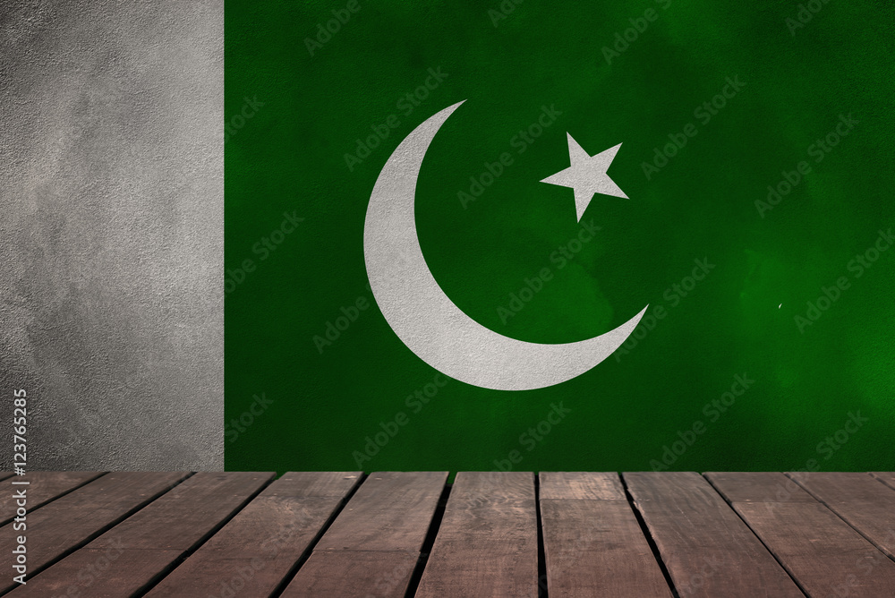 Flag of PAKISTAN, Flag Stock Illustration | Adobe Stock