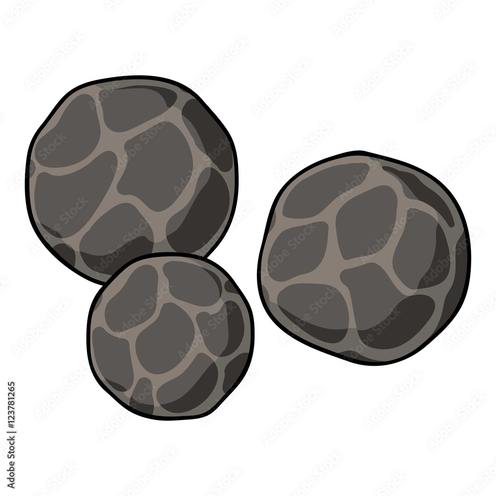 Black pepper icon in cartoon style isolated on white background. Herb ...