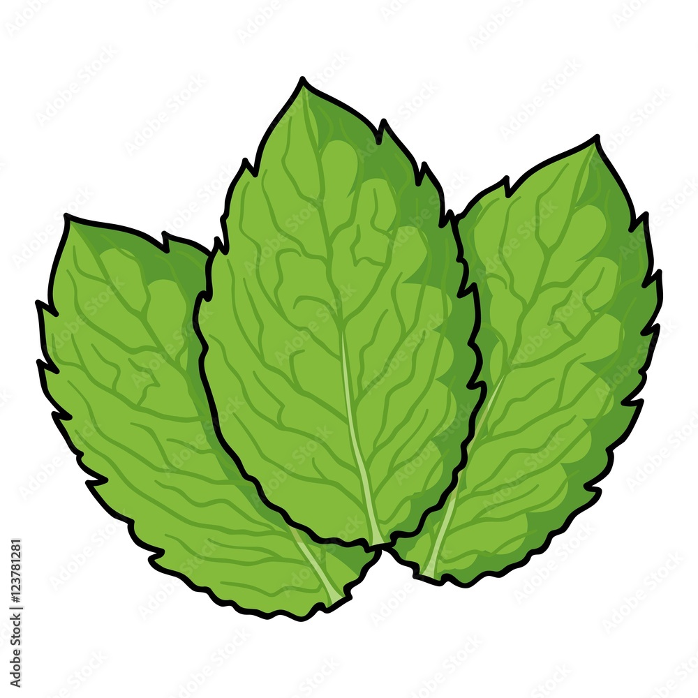 Mint icon in cartoon style isolated on white background. Herb an spices ...
