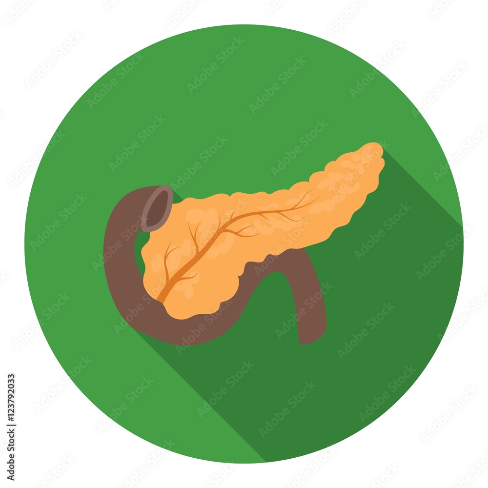 Pancreas icon in flat style isolated on white background. Organs symbol ...