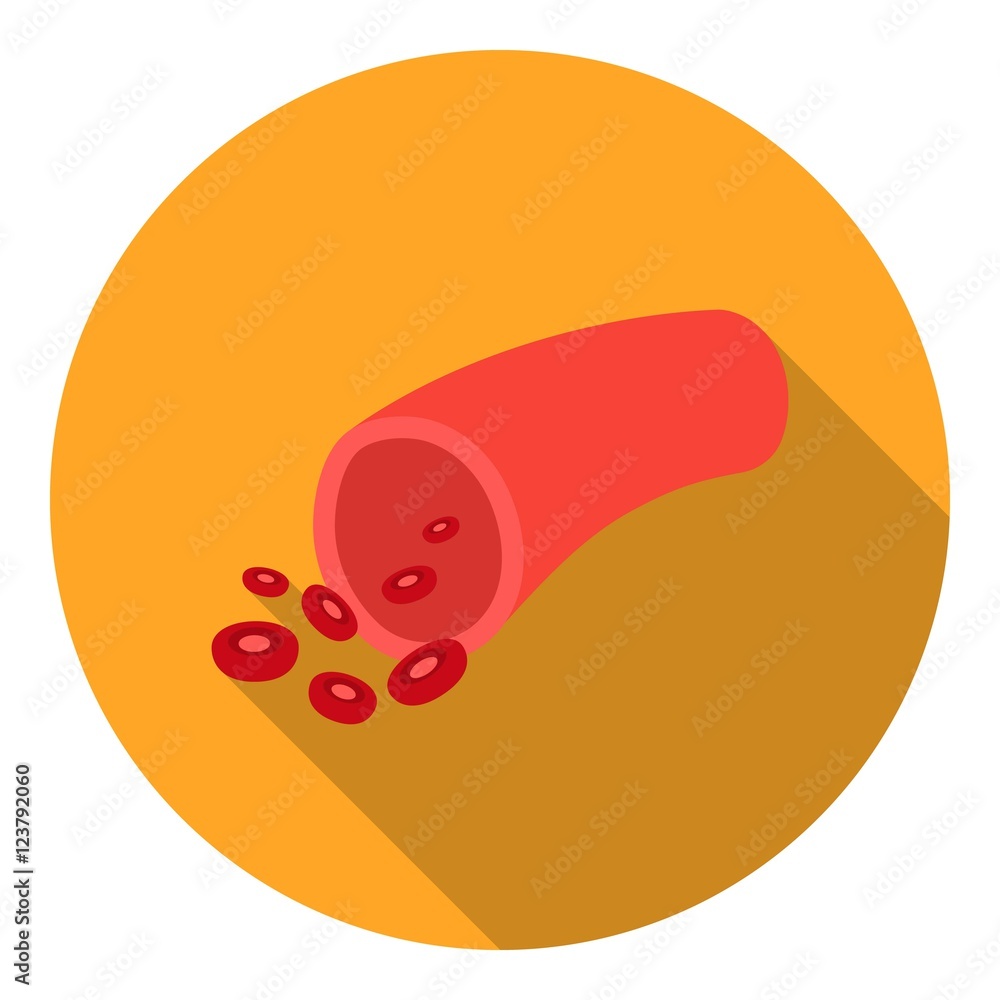 Blood vessel icon in flat style isolated on white background. Organs ...