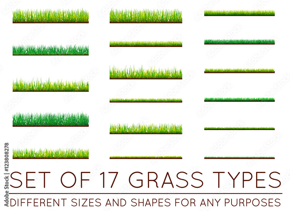Set of Backgrounds Of Green Grass, Isolated On White Background, Stock ...