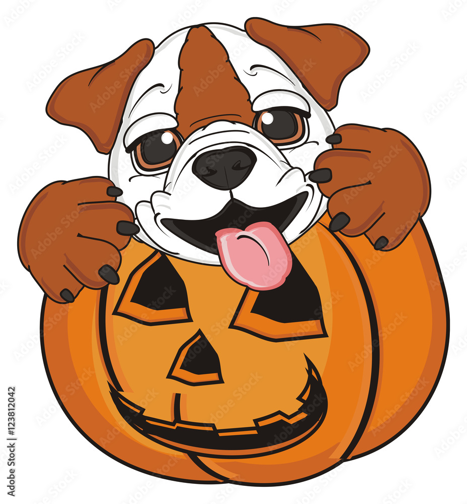 Dog Face Pumpkin