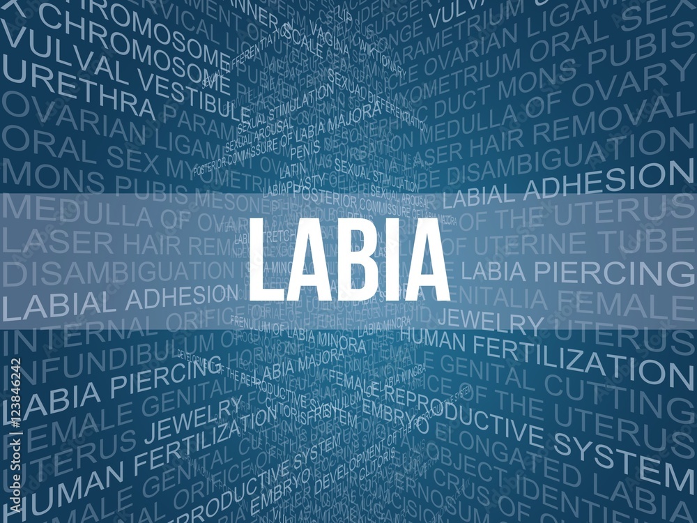 labia Stock Illustration | Adobe Stock