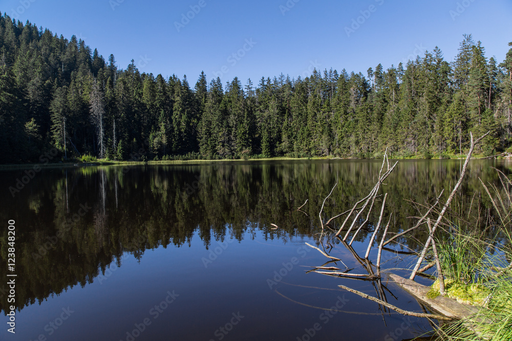 Am Wildsee; Nationalpark Schwarzwald, Sommer Stock Photo | Adobe Stock