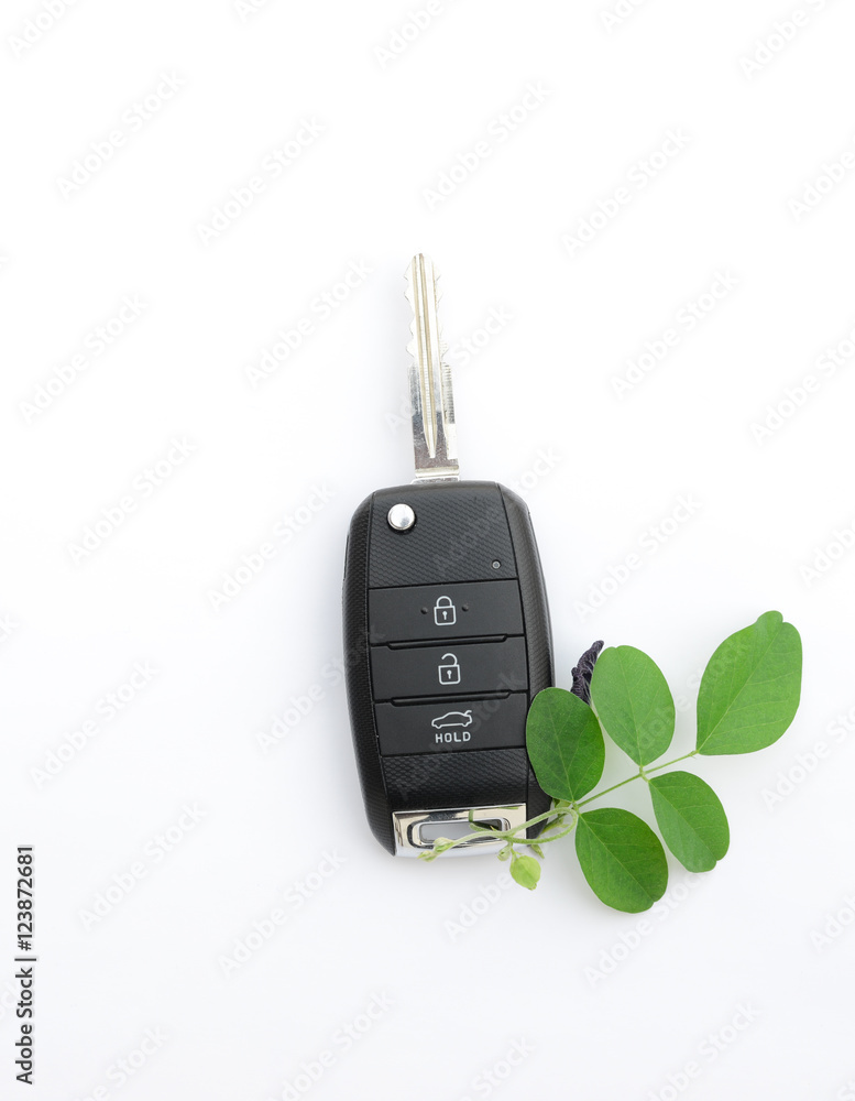 Green car key on with background Stock Photo | Adobe Stock