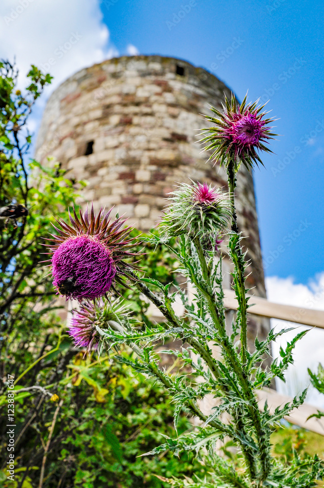 tower of ancient robber knight castle desenberg at warburg, germany ...