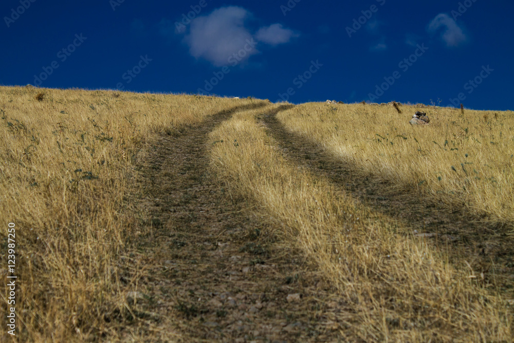 a long and winding path Stock Photo | Adobe Stock