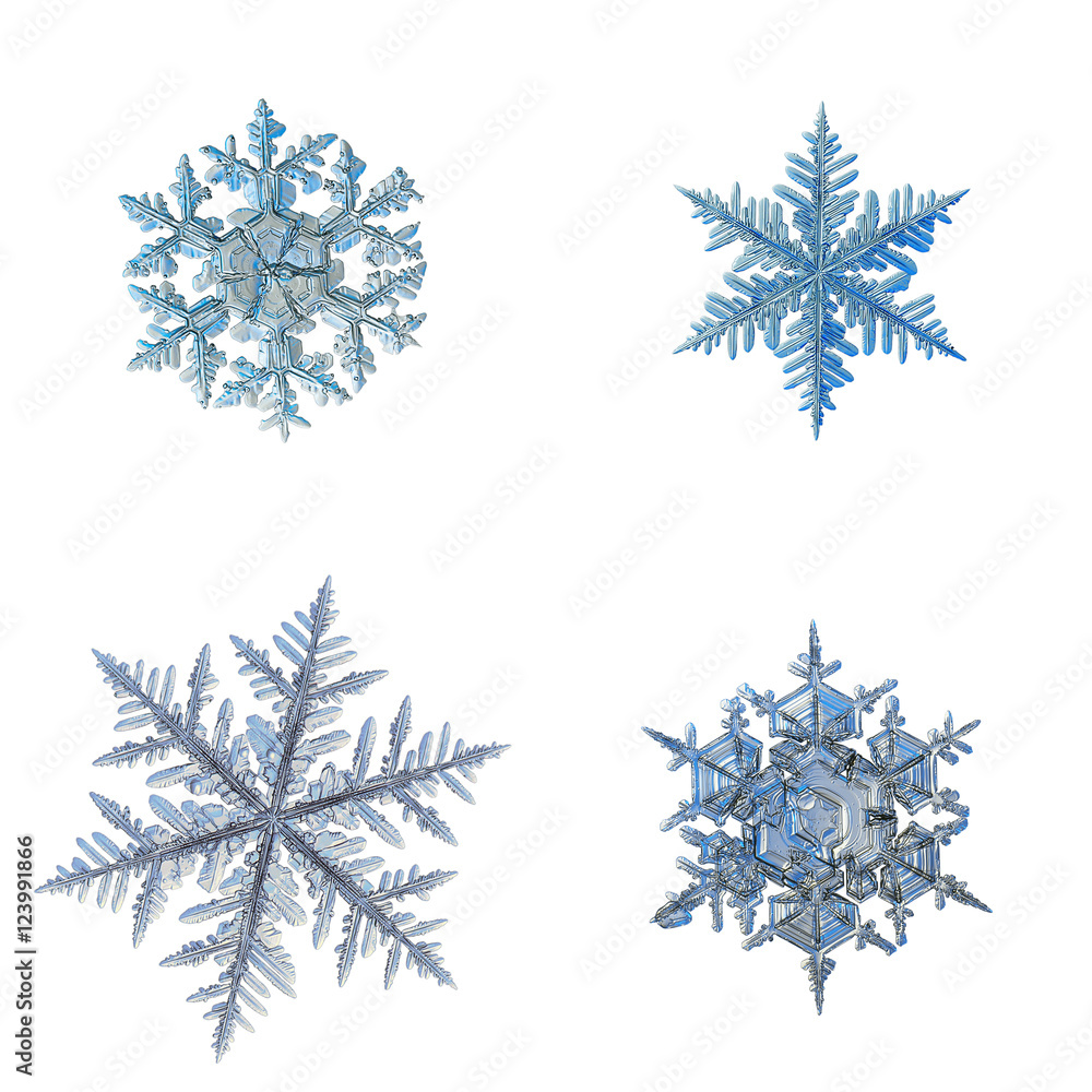 Set with four snowflakes, isolated on white background. This is macro ...