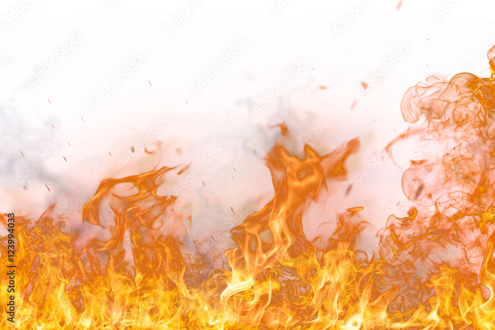 Fire flames on white background Stock Photo | Adobe Stock
