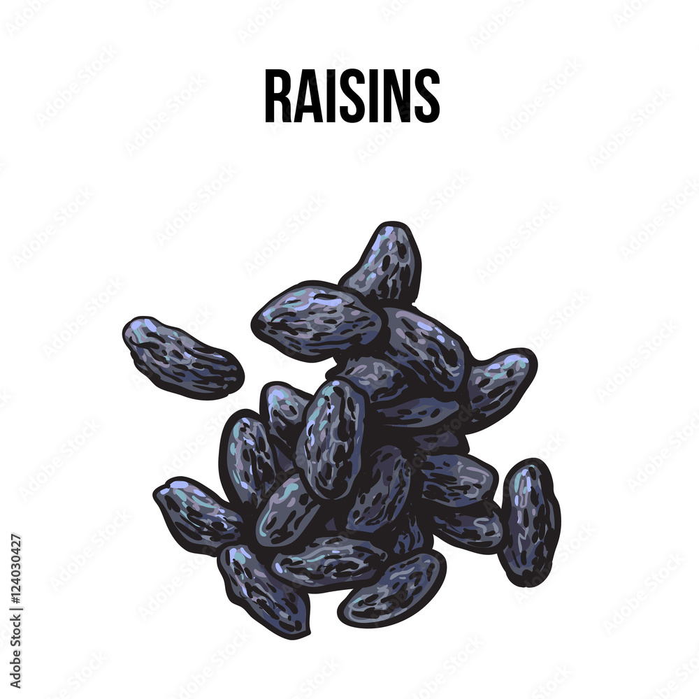 Vecteur Stock Pile of dried black raisins, sketch style vector ...