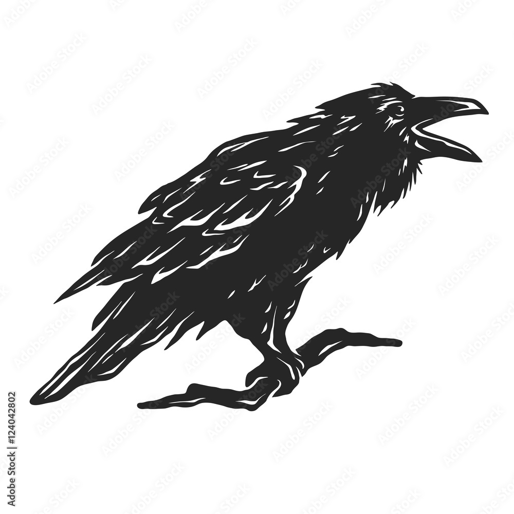 Screaming, black crows. Stock Vector | Adobe Stock