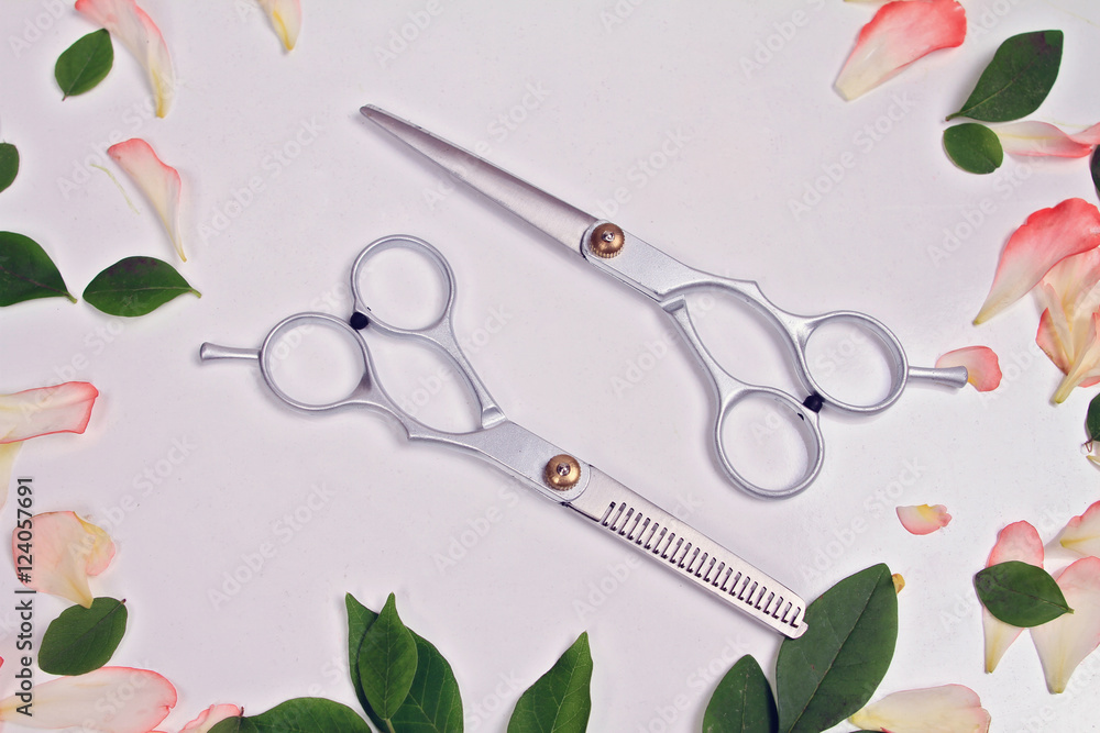 Scissors white background. Hairdresser salon concept. Creative ...