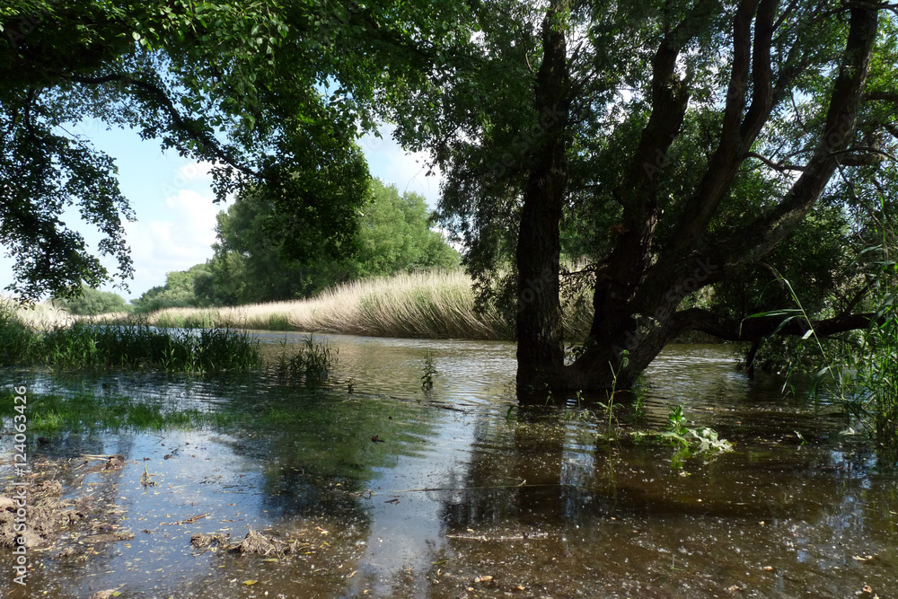 Heuckenlock Priel im Naturschutzgebiet Moorwerder Stock-Foto | Adobe Stock