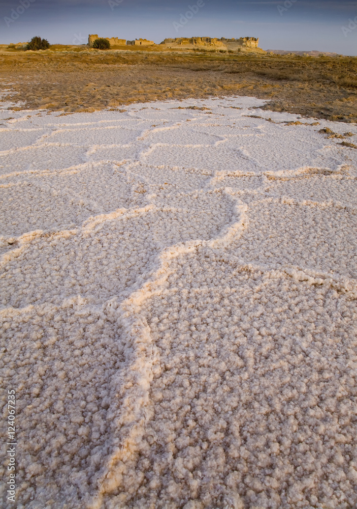 Dried Salt Deposits From A Dried Up Water Source On The Outskirts Of ...