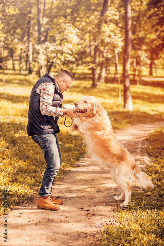 A Dog In A Good Environment