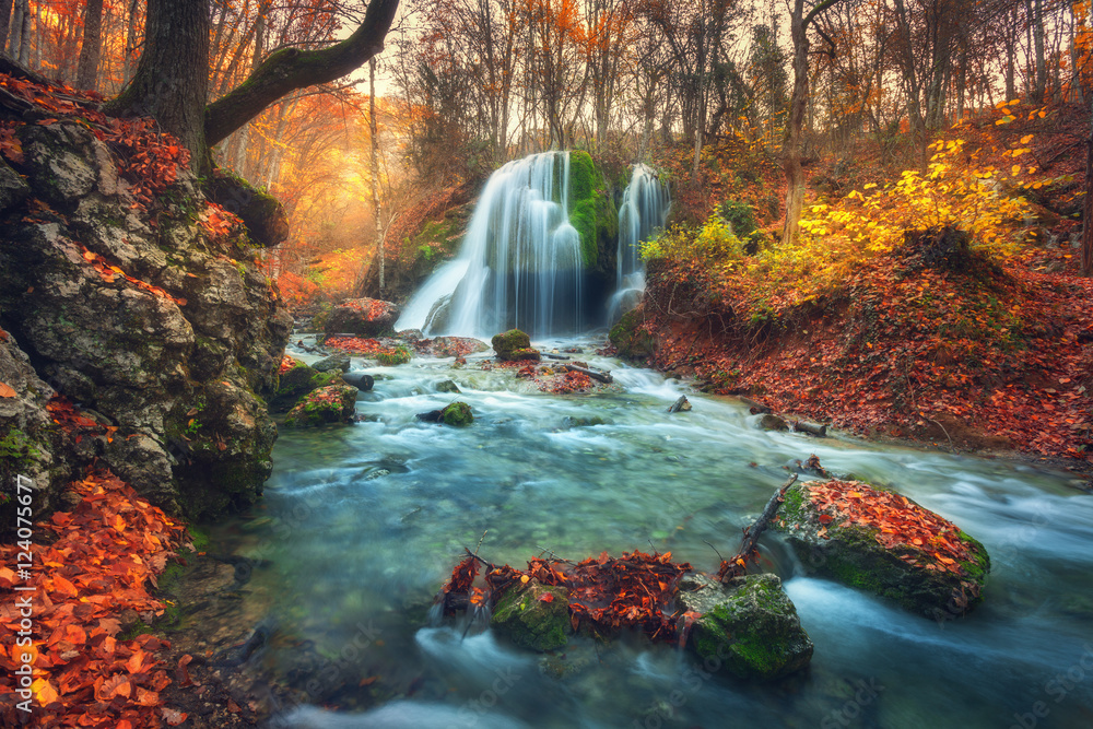 Blurry Fall Colored Trees