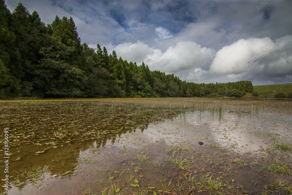 Lagoa da Lomba, Ilha das Flores - Açores Stock Photo | Adobe Stock