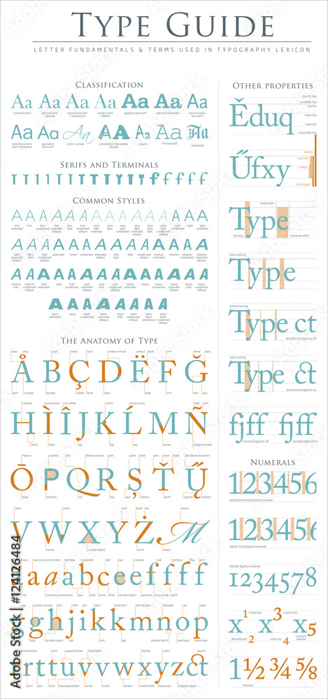 Type anatomy guide Stock Vector | Adobe Stock