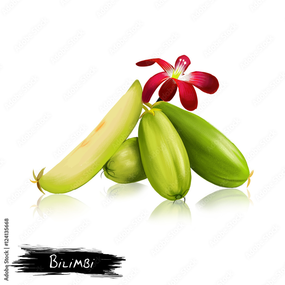 Averrhoa bilimbi isolated on white background. Stock Illustration ...