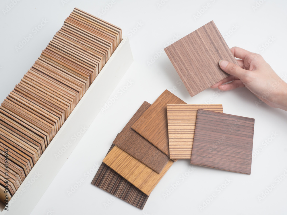 samples of veneer wood is isolated on white background Stock Photo ...
