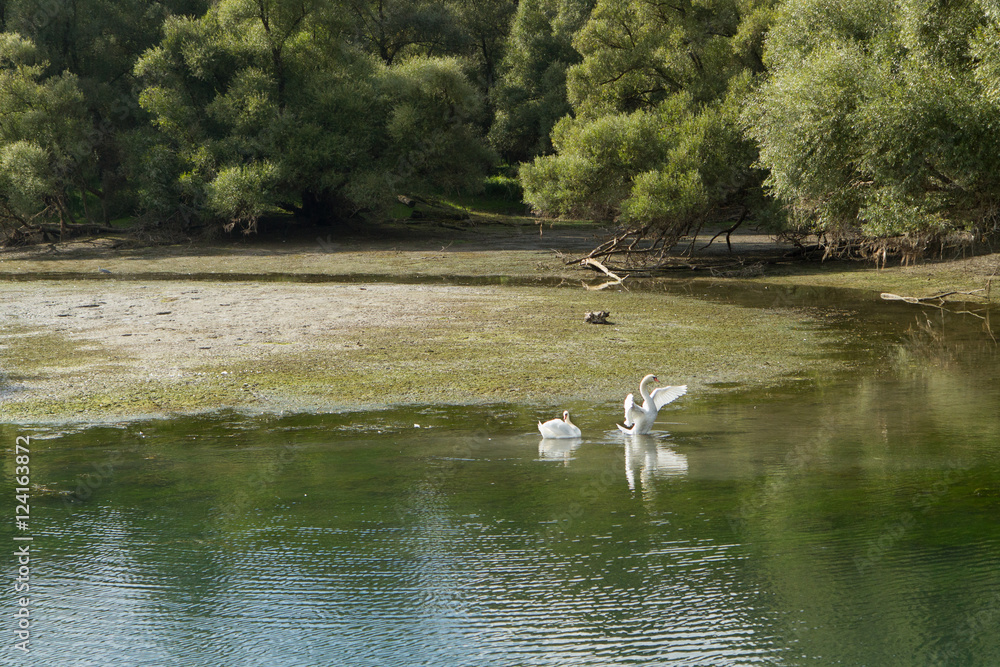 Rheinaue Plittersdorf Stock-Foto | Adobe Stock