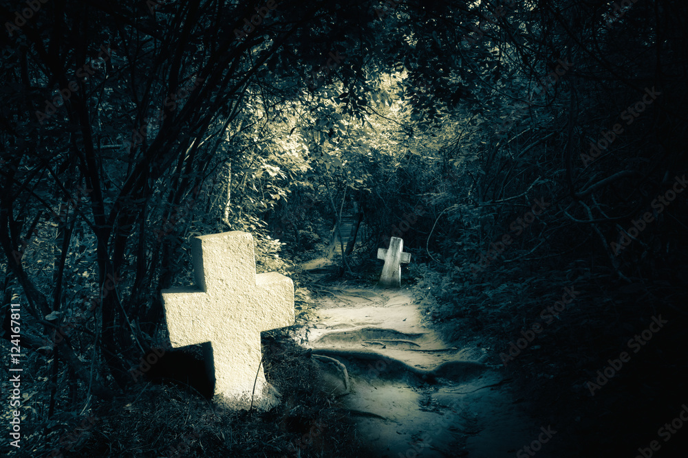 Dark night spooky landscape with abandoned graves and memory stones in ...