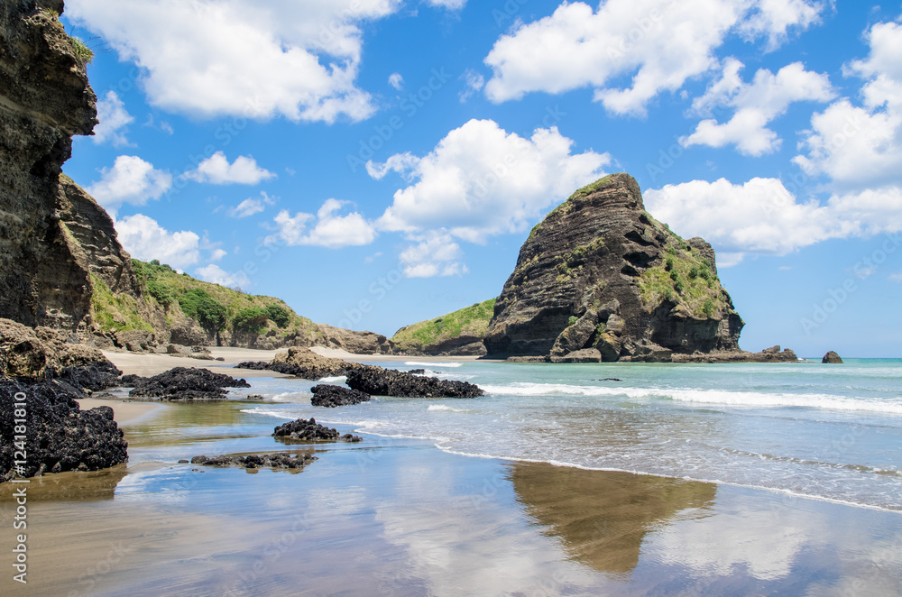 Piha beach which is located at the West Coast in Auckland,New Zealand ...
