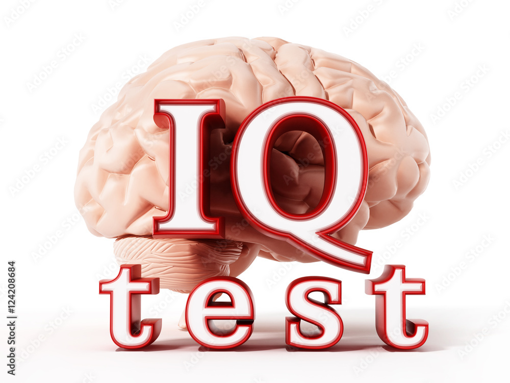 Human brain and IQ test text isolated on white background. 3D ...