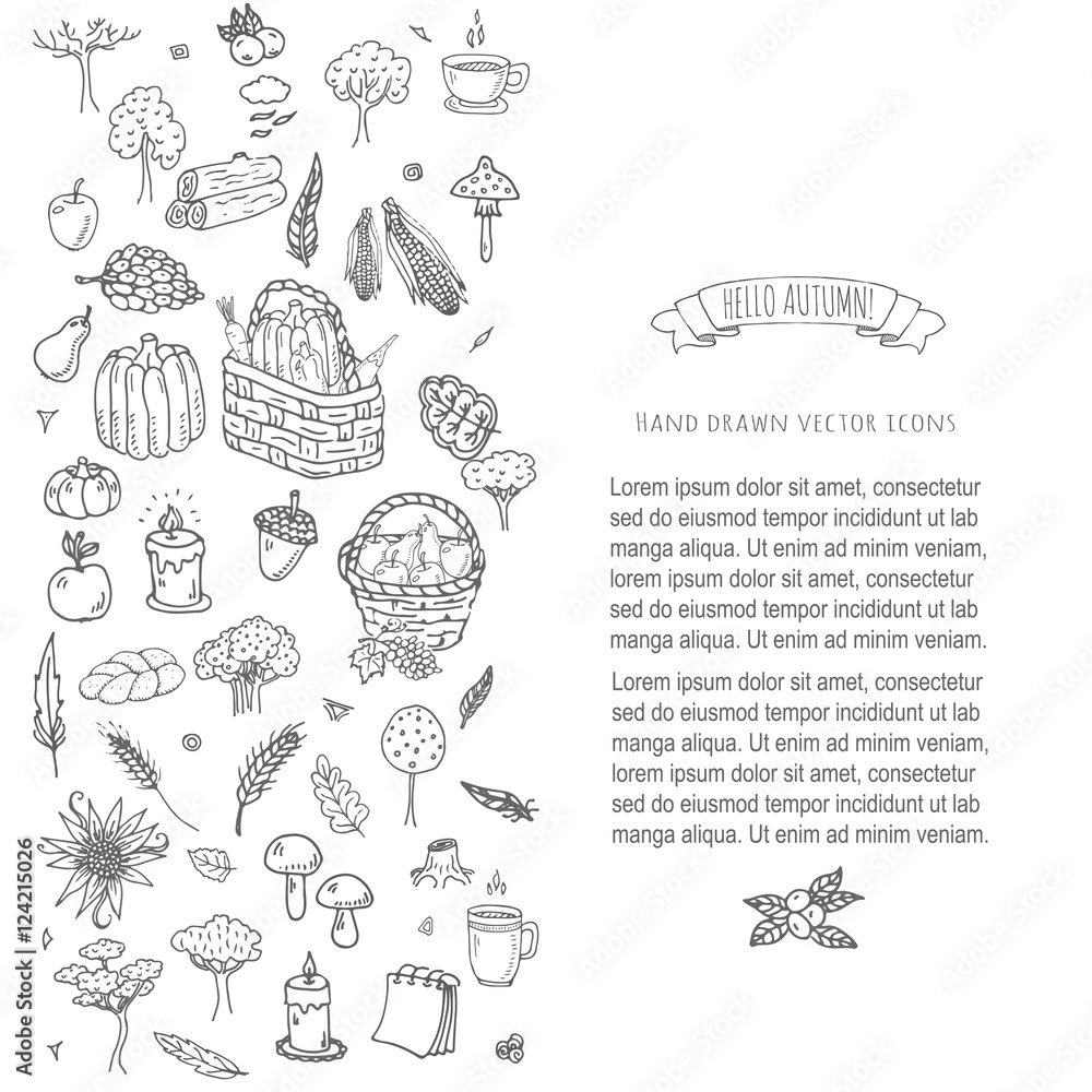 Hand drawn doodle Autumn icons set. Vector illustration. Fall symbols ...