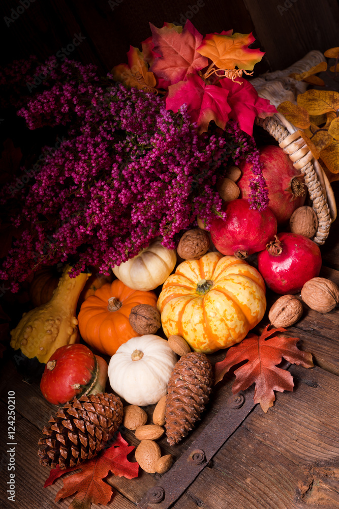 Cornucopia Stock Photo | Adobe Stock