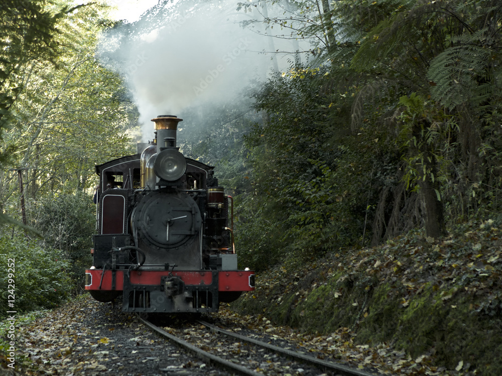 Puffing Billy train ride through the Dandenong Ranges near Melbourne ...