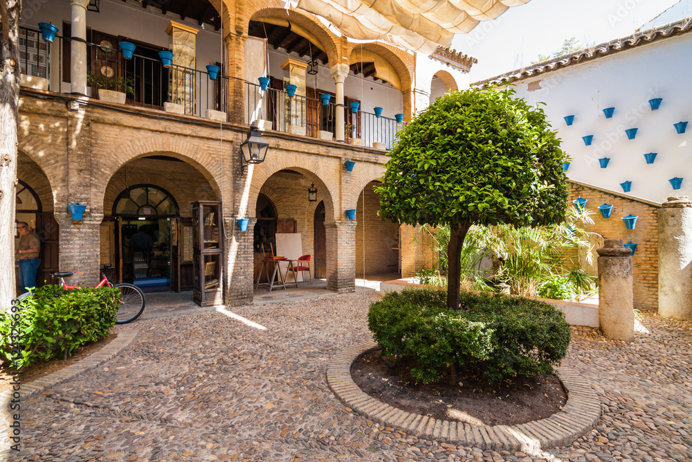 Inside typical spanish andalusian courtyard (patio), Andalusia province ...