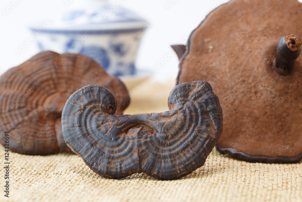 Rare Chinese traditional medicine ganoderma lucidum features Stock ...