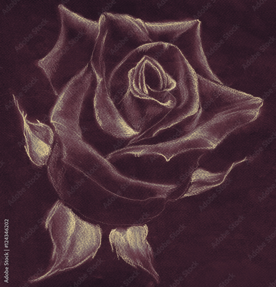 Rose - pastel drawing. Use printed materials, signs, items, websites ...