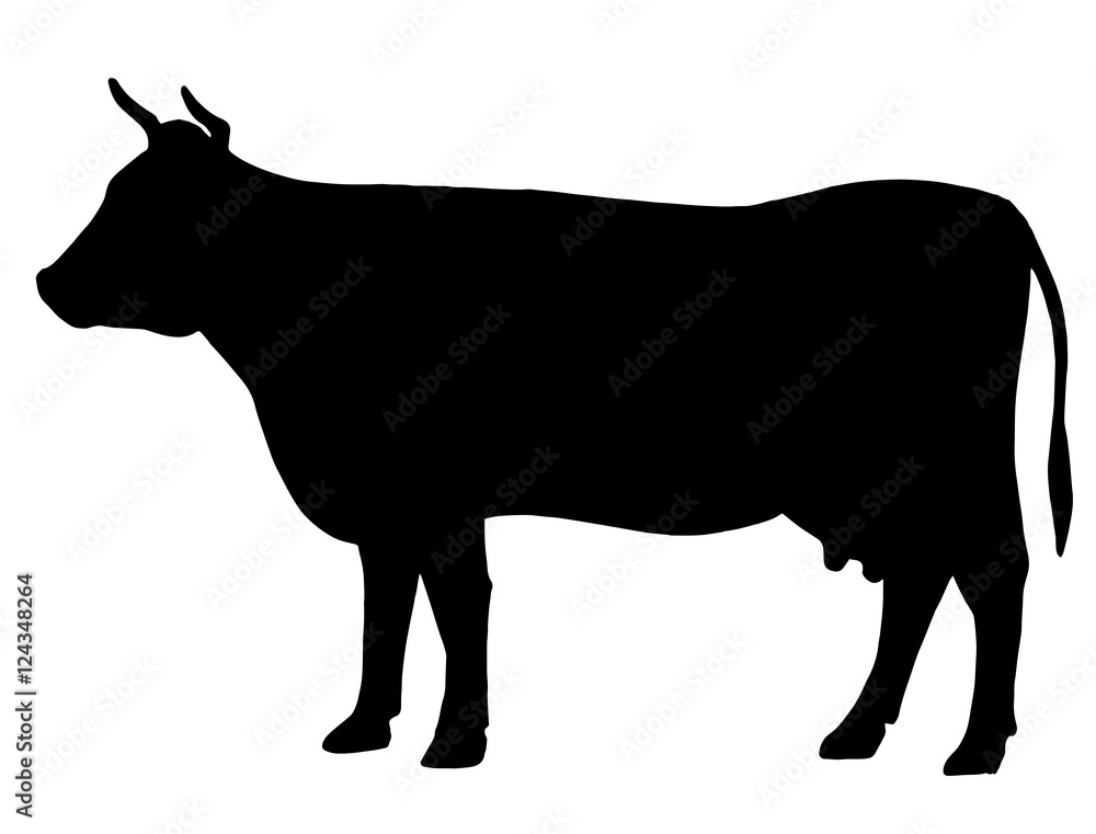 Silhouette of a cow. Cattle. Circuit. Farm. Bull. Black and white ...